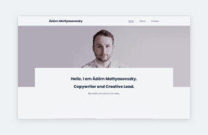 18 Digital Portfolio Examples & a Guide for Yours - UXfolio Blog