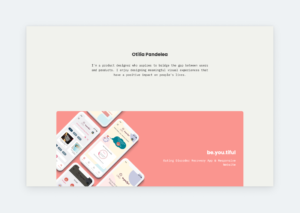 24 Impressive UX Portfolio Examples & a Guide for Yours